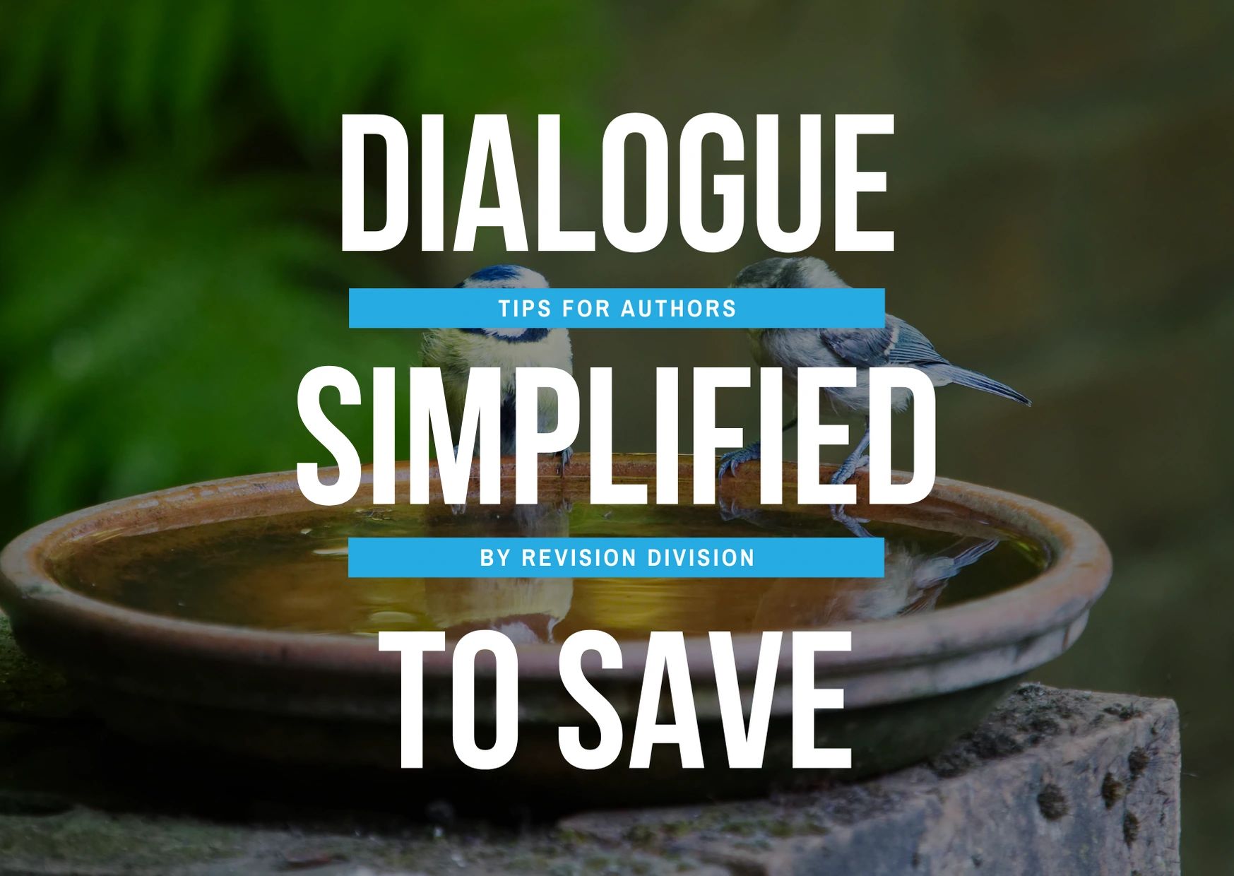 Dialogue Writing Tips Simplified to Help You Save