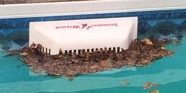 Swimming Pool Skimmer Guard - Skimmer Wizard