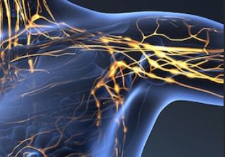 Manual Lymphatic Drainage (MLD, ClT)Massage Therapist,Licensed Massage ...