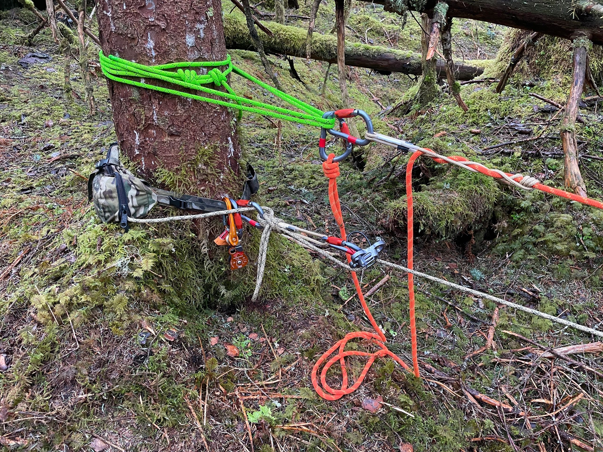 Home- [alaskarescue.com]