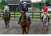HMC Equestrian