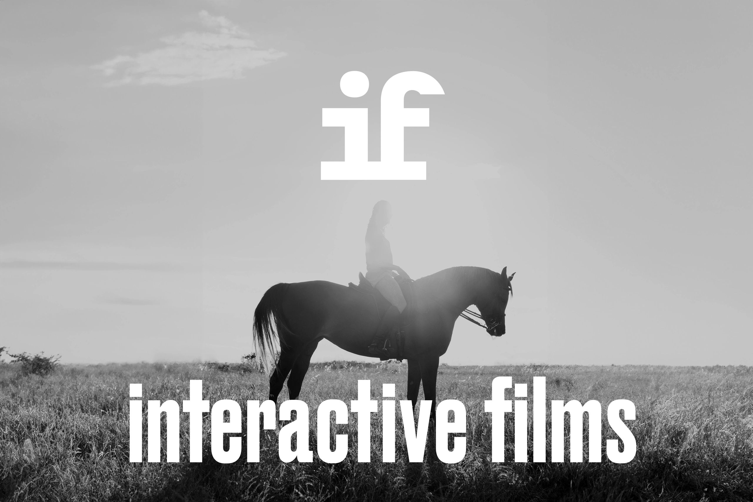 Interactive Films LLC