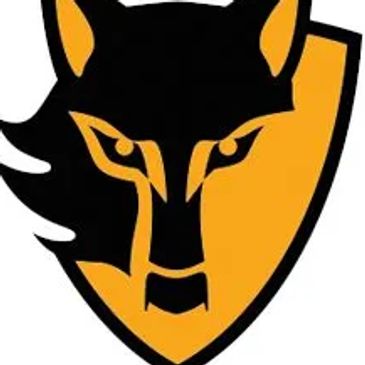 AFC Wolves - Providing Quality Football Coaching for Children