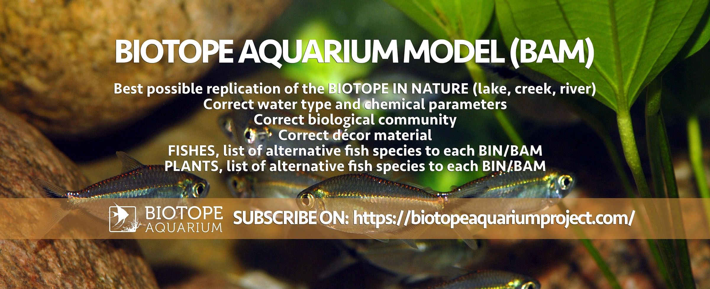 BIOTOPE AQUARIUM Project