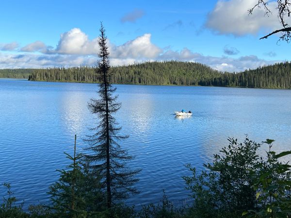 Hunting - Blue Walleye Outpost