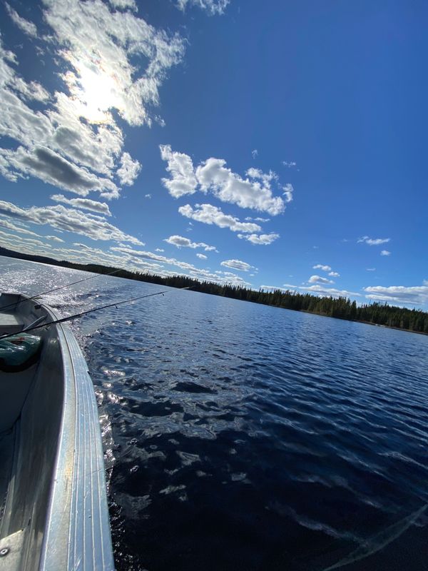 Hunting - Blue Walleye Outpost