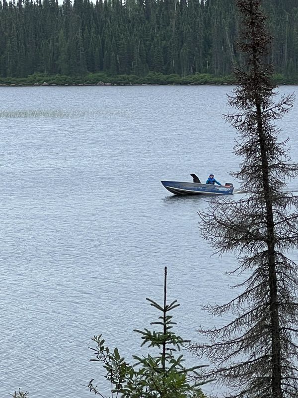 Hunting - Blue Walleye Outpost