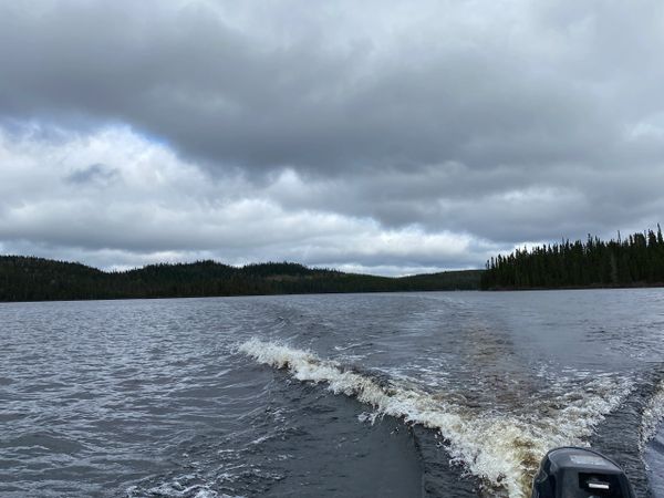 Hunting - Blue Walleye Outpost