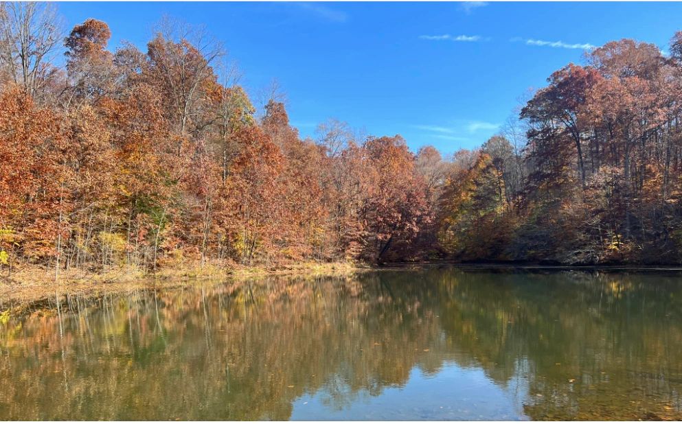 Fallen Rock RV Parke and Campground