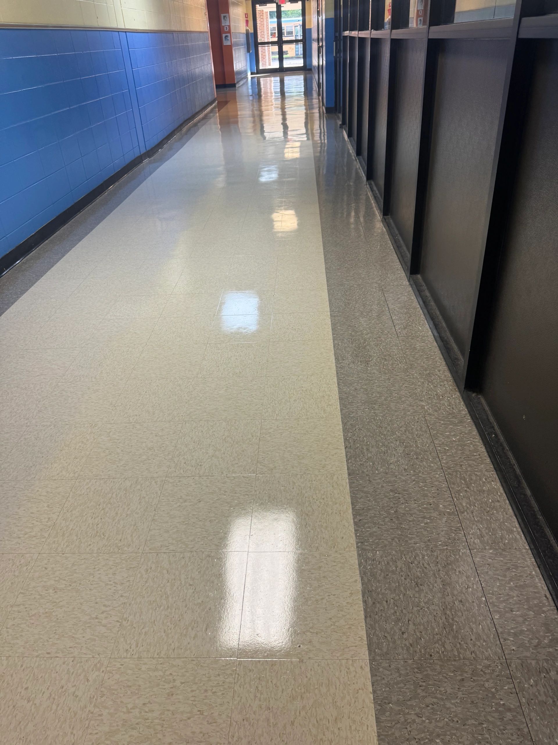 Carpet Cleaning - Total Floor Care