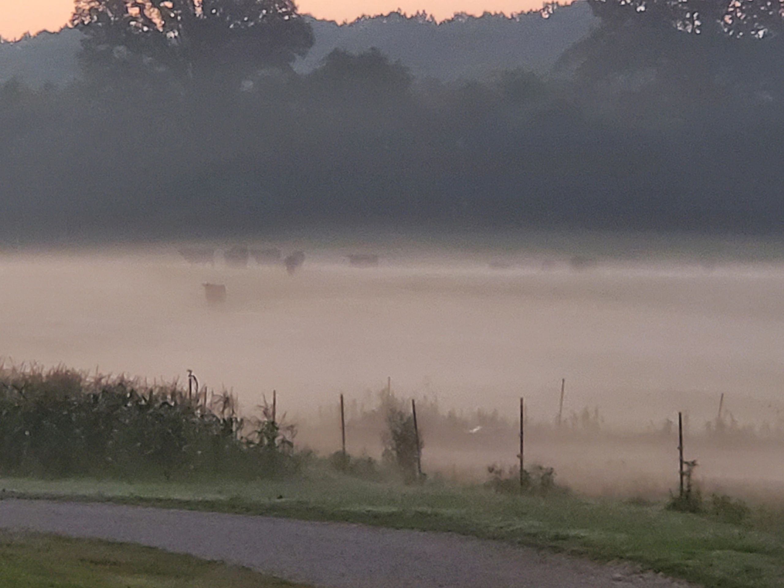 NuTerra Farms - Home