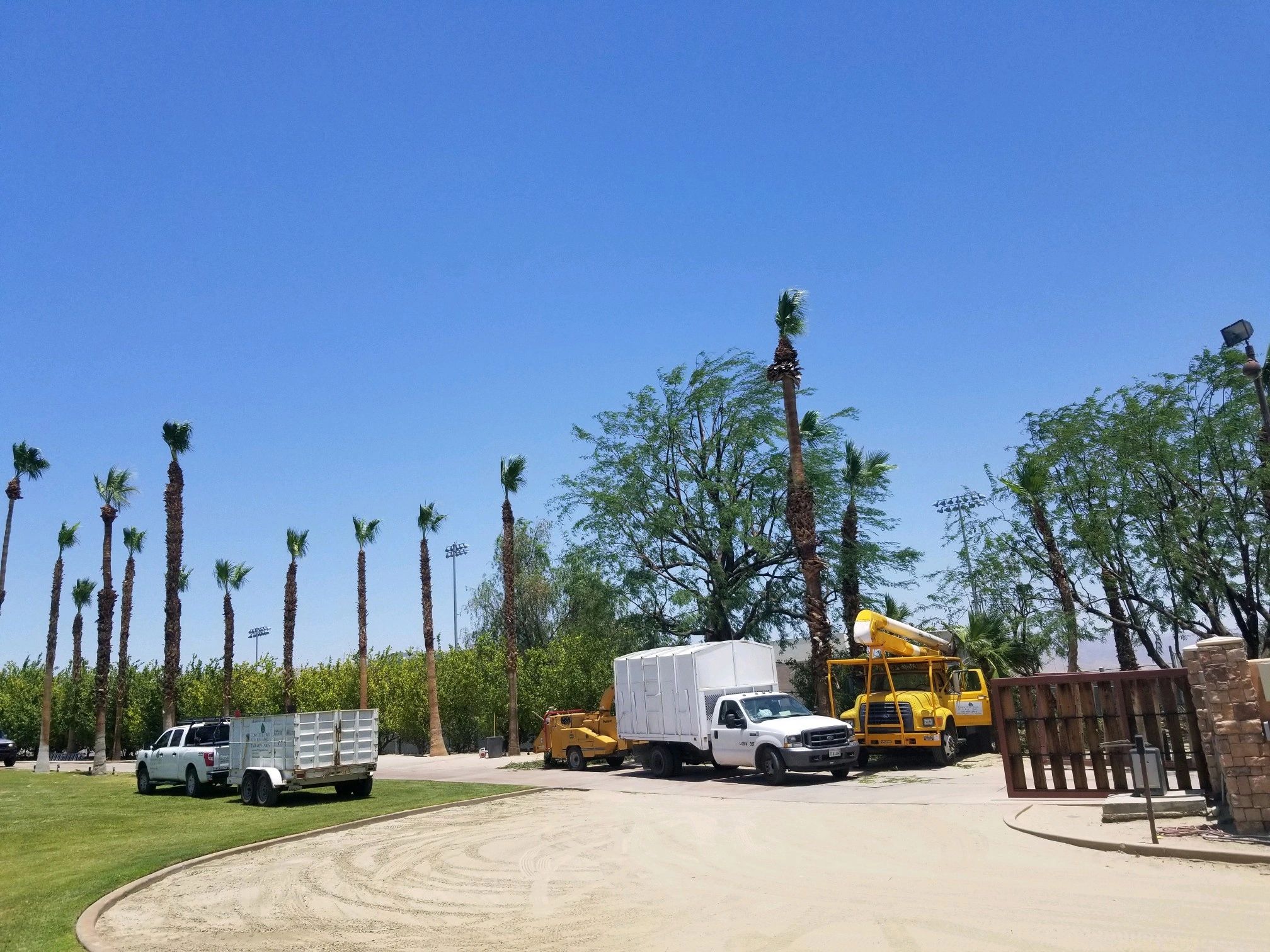 Custom Concepts Tree - Tree Services - Palm Springs, California