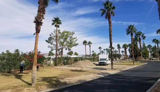 Custom Concepts Tree - Tree Services - Palm Springs, California