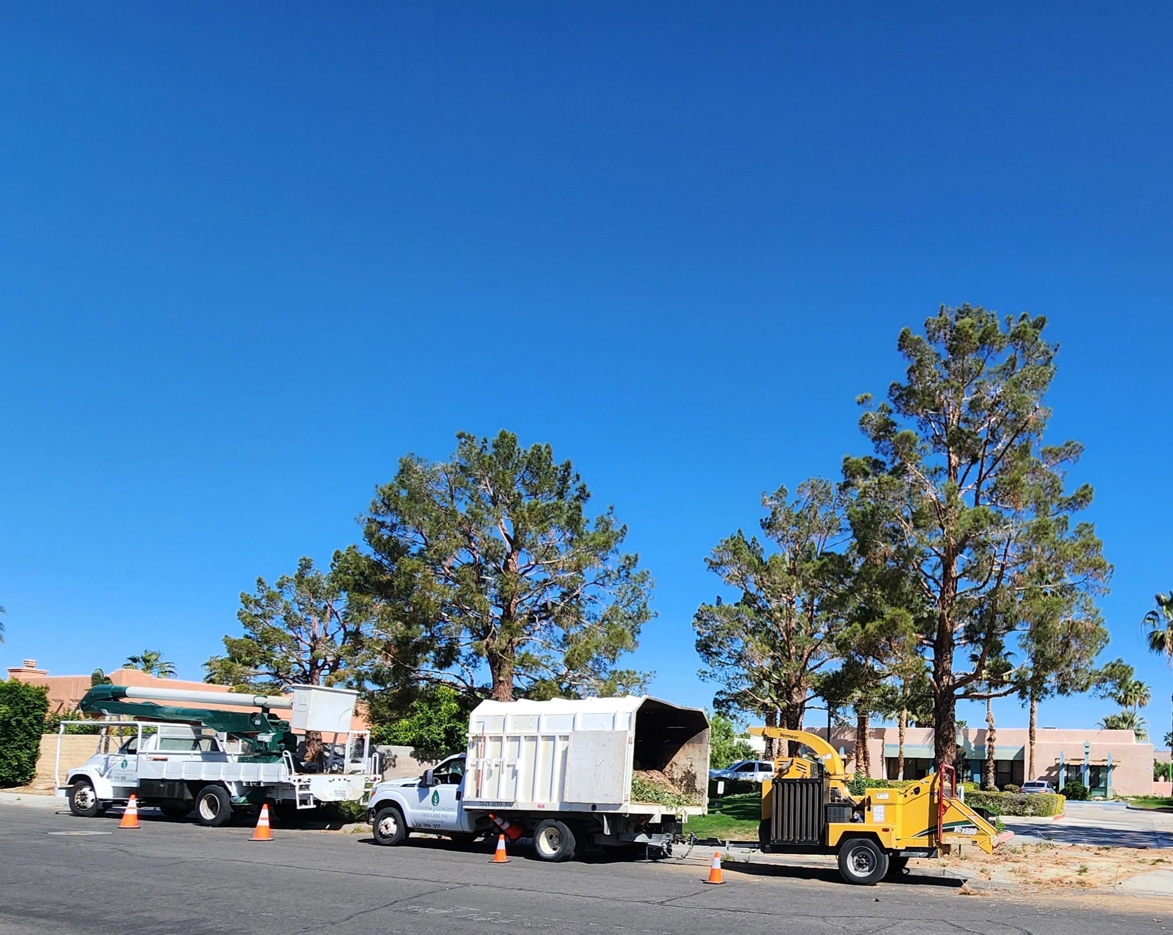 Custom Concepts Tree - Tree Services - Palm Springs, California