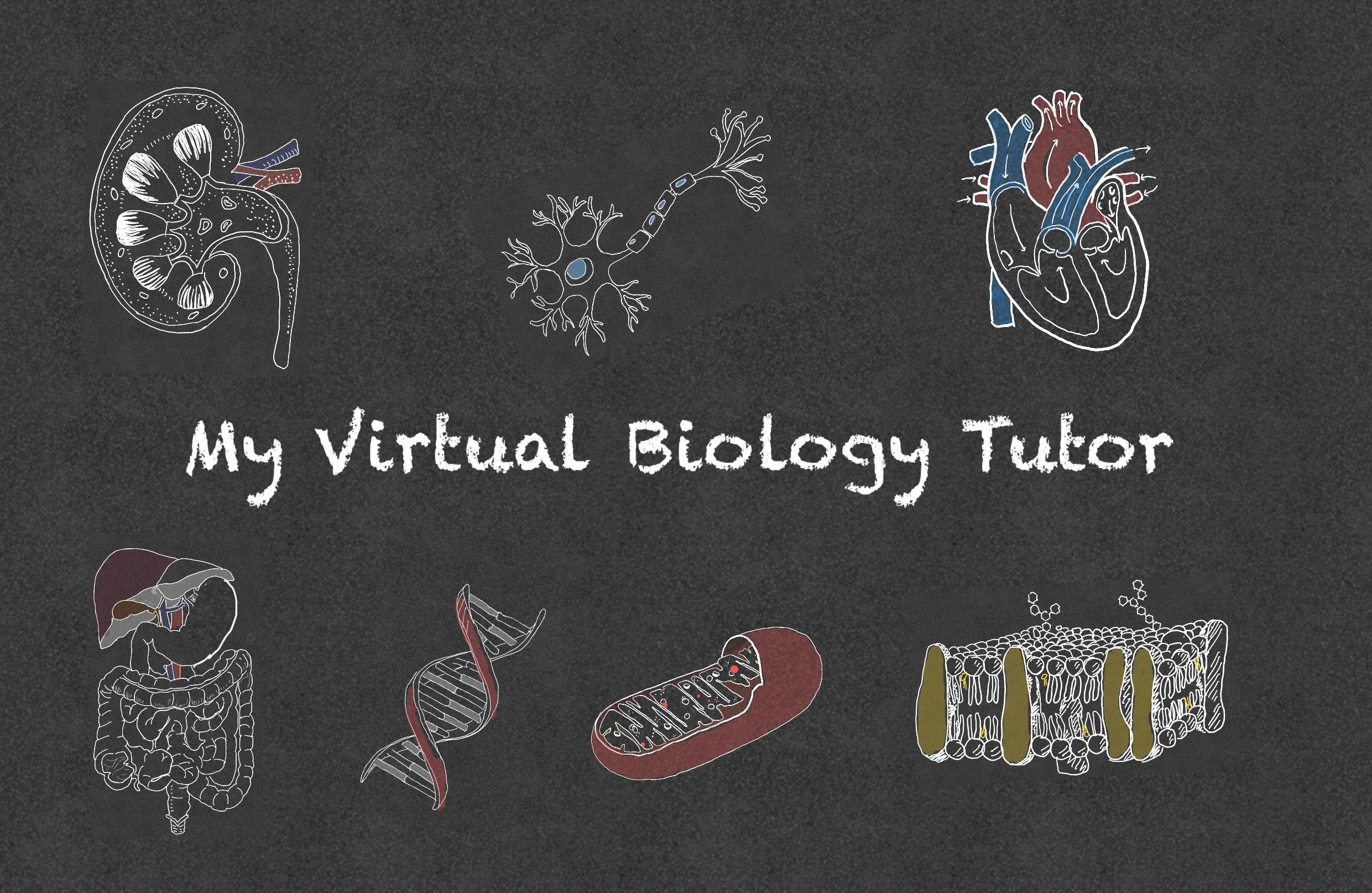 My Virtual Biology tutor