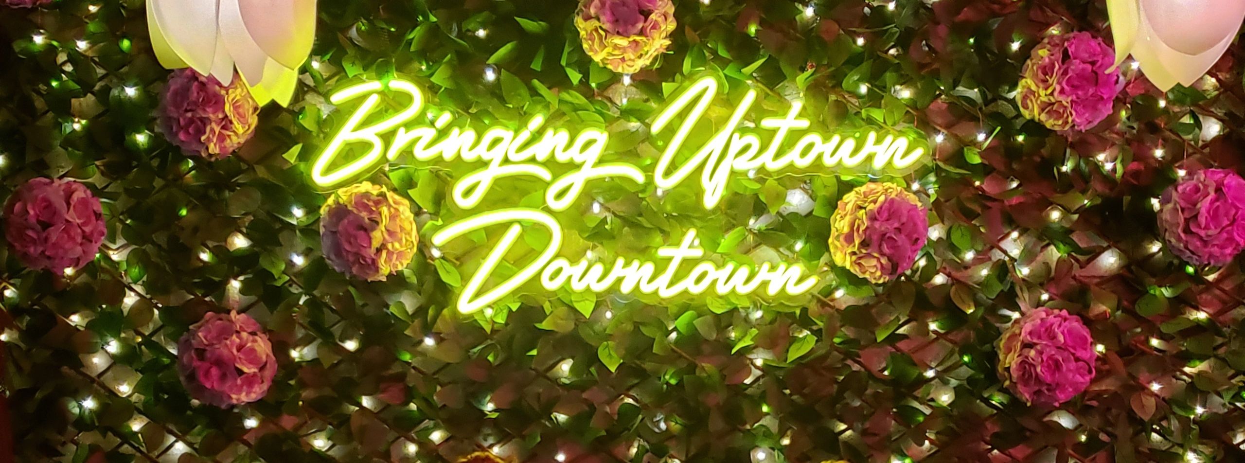 COUNTER & BODEGA INC - Restaurant and Bar, Latin Food, Happy Hour