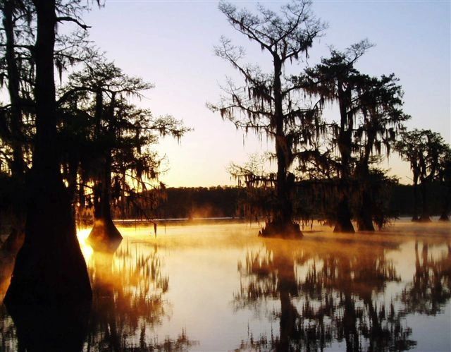 Caddo Lake photos