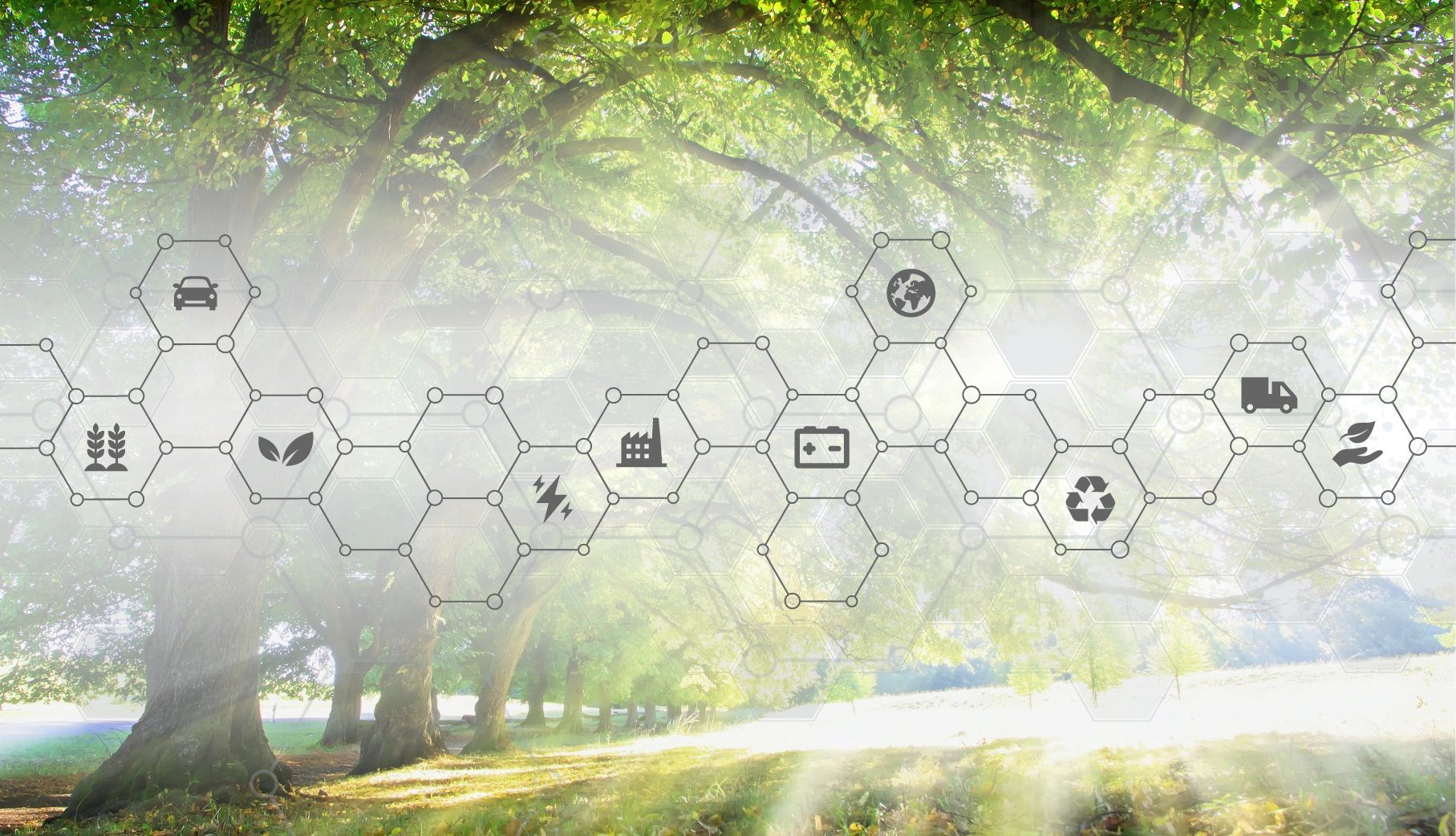 Element Resources LLC