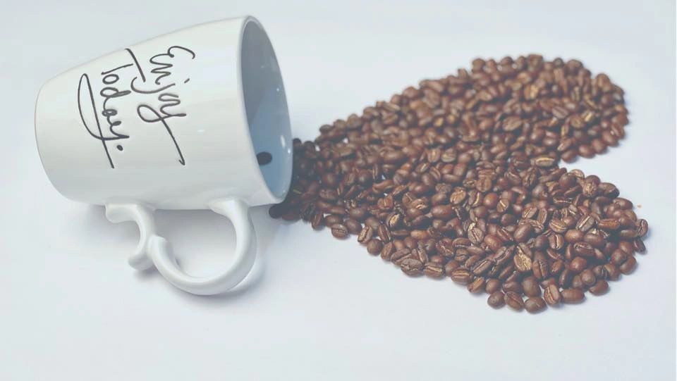 HOME [fivefivecoffee.com]