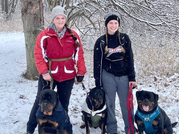 K9 Elite Dog Training - Home