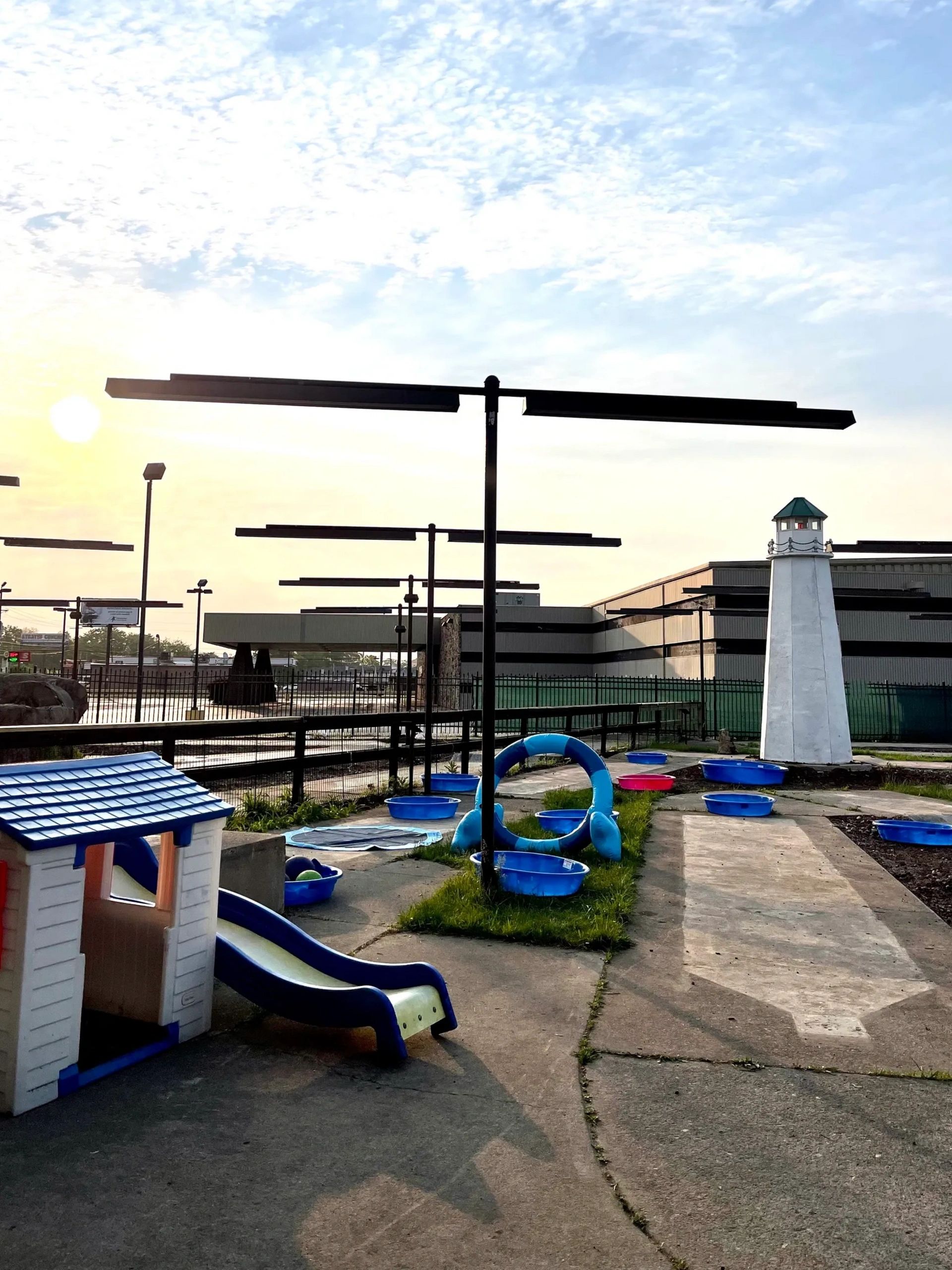 Structured Doggie Day Camp