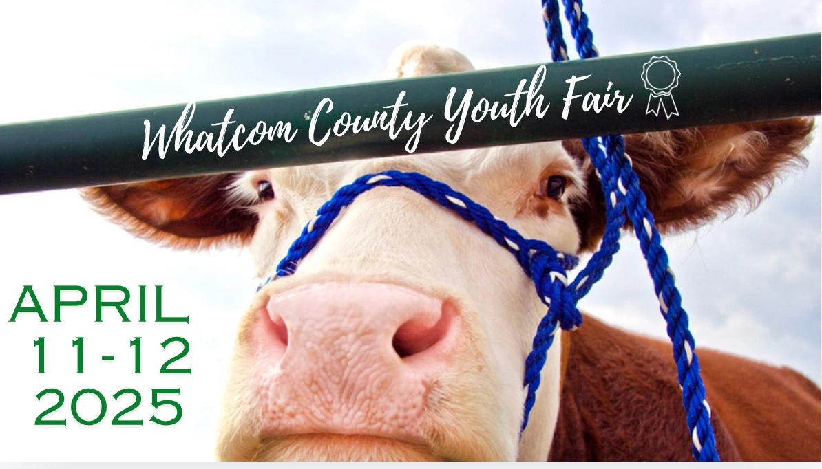 Whatcom County Youth Fair