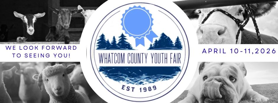 Whatcom County Youth Fair