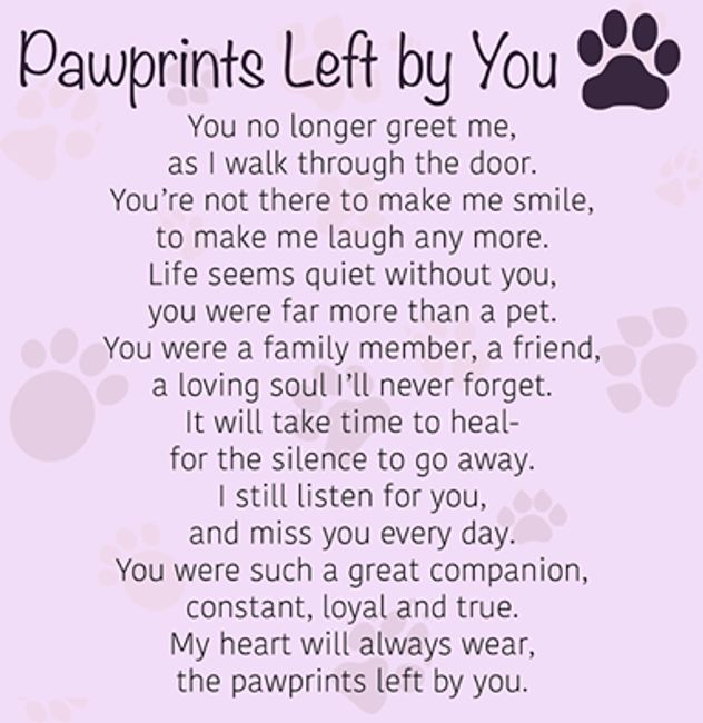 Pet Loss, Grief - Kindred Spirits Pet Services | Kindred Spirits Pet ...