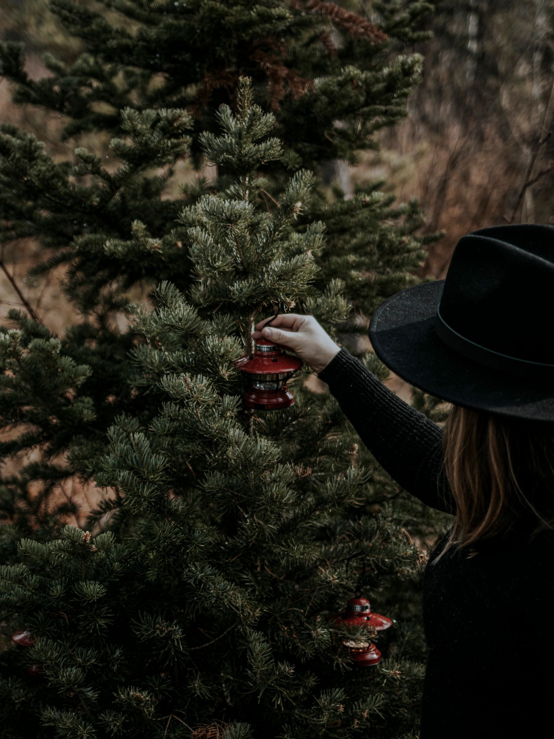 Barebones Living UK - Outdoor Products