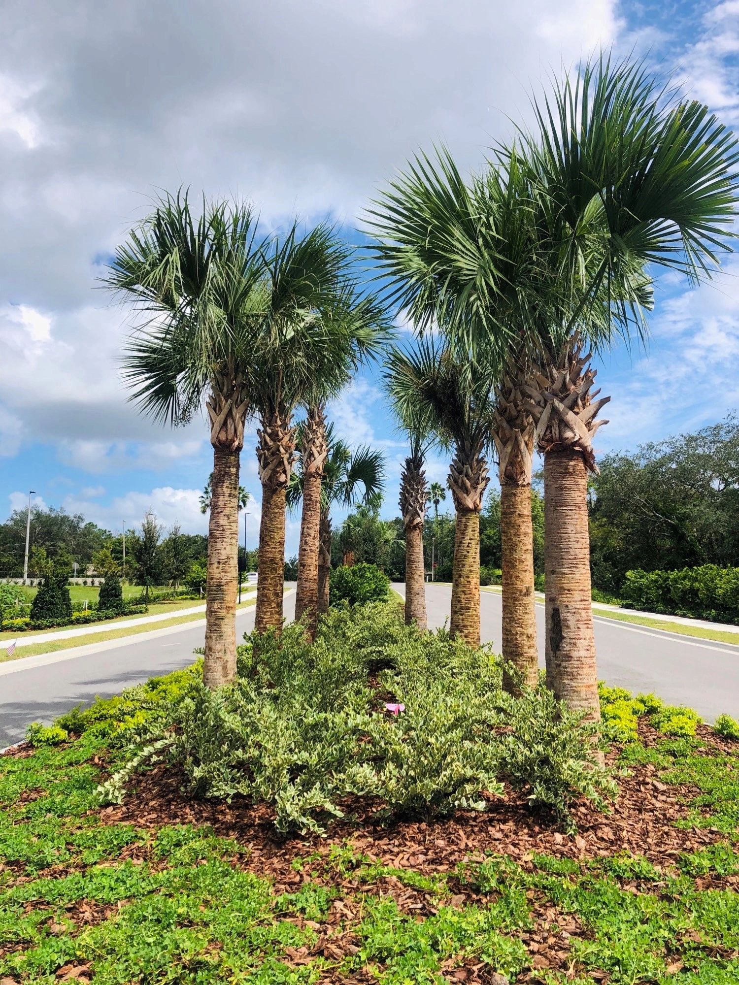 REW Landscape Corp | REW Landscape Corp