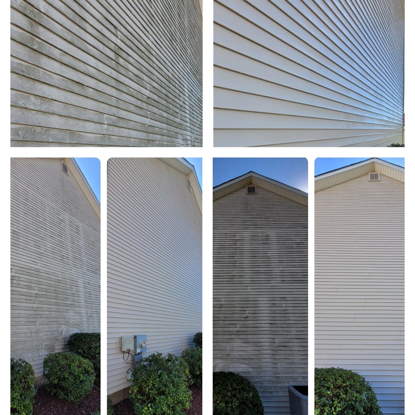 What is growing on my siding and how do I get it off?