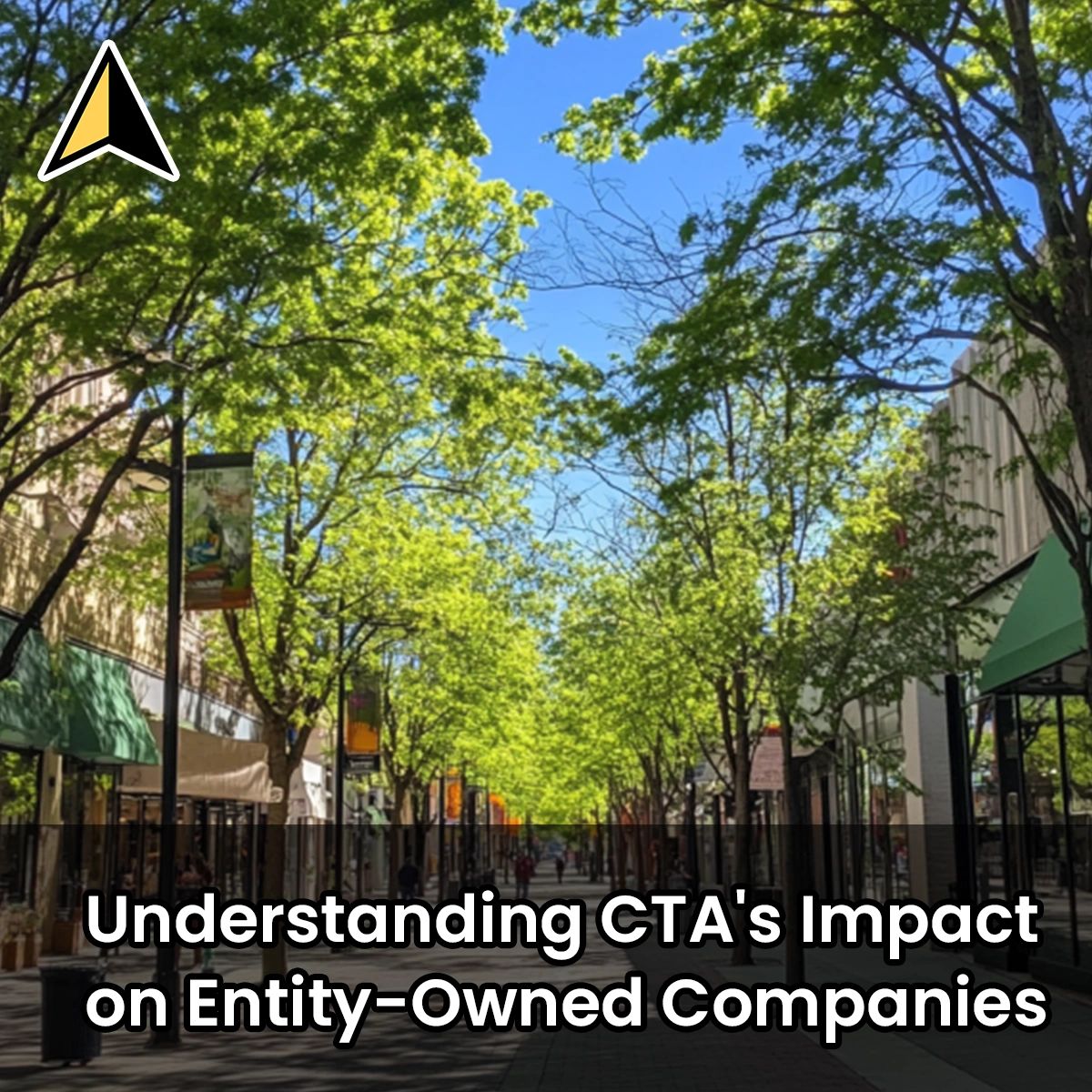 Understanding CTA's Impact on Entity-Owned Companies