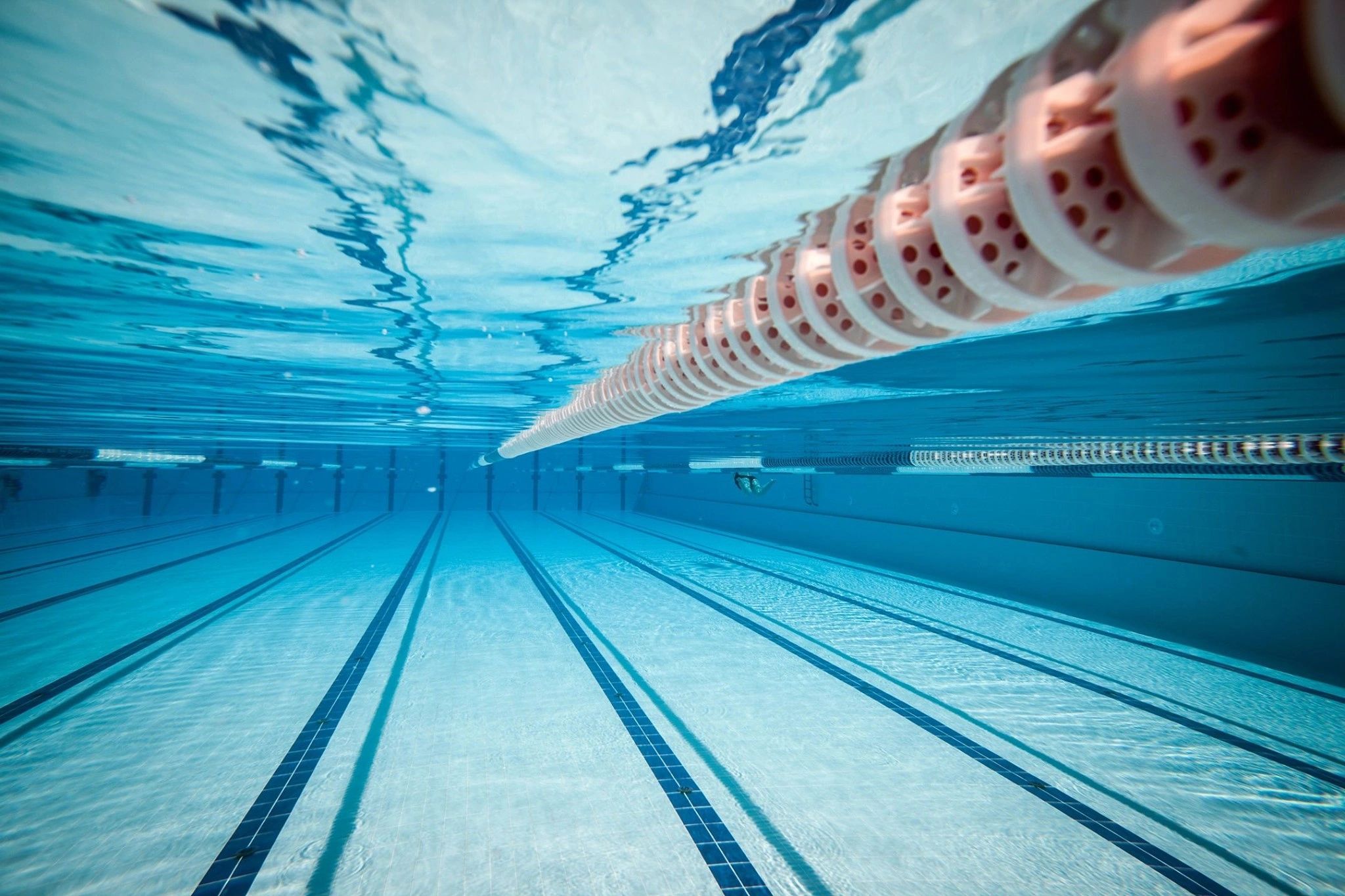 Trident Aquatics - Cpo, Swimming, Phta