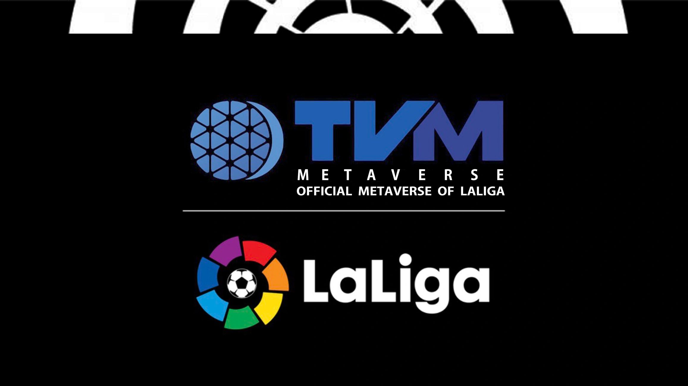 Organization Chart | TVM Inc.