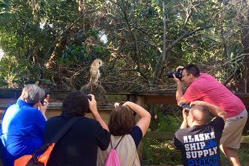 Programs | Busch Wildlife Sanctuary