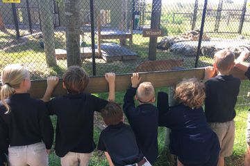Programs | Busch Wildlife Sanctuary