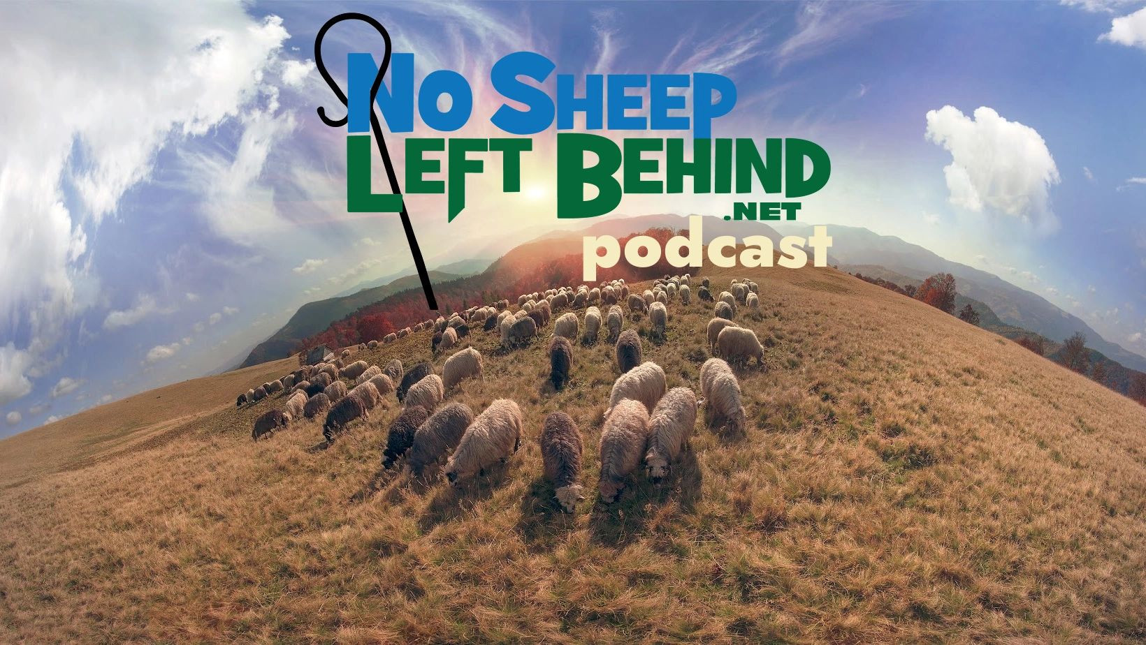 No Sheep Left Behind