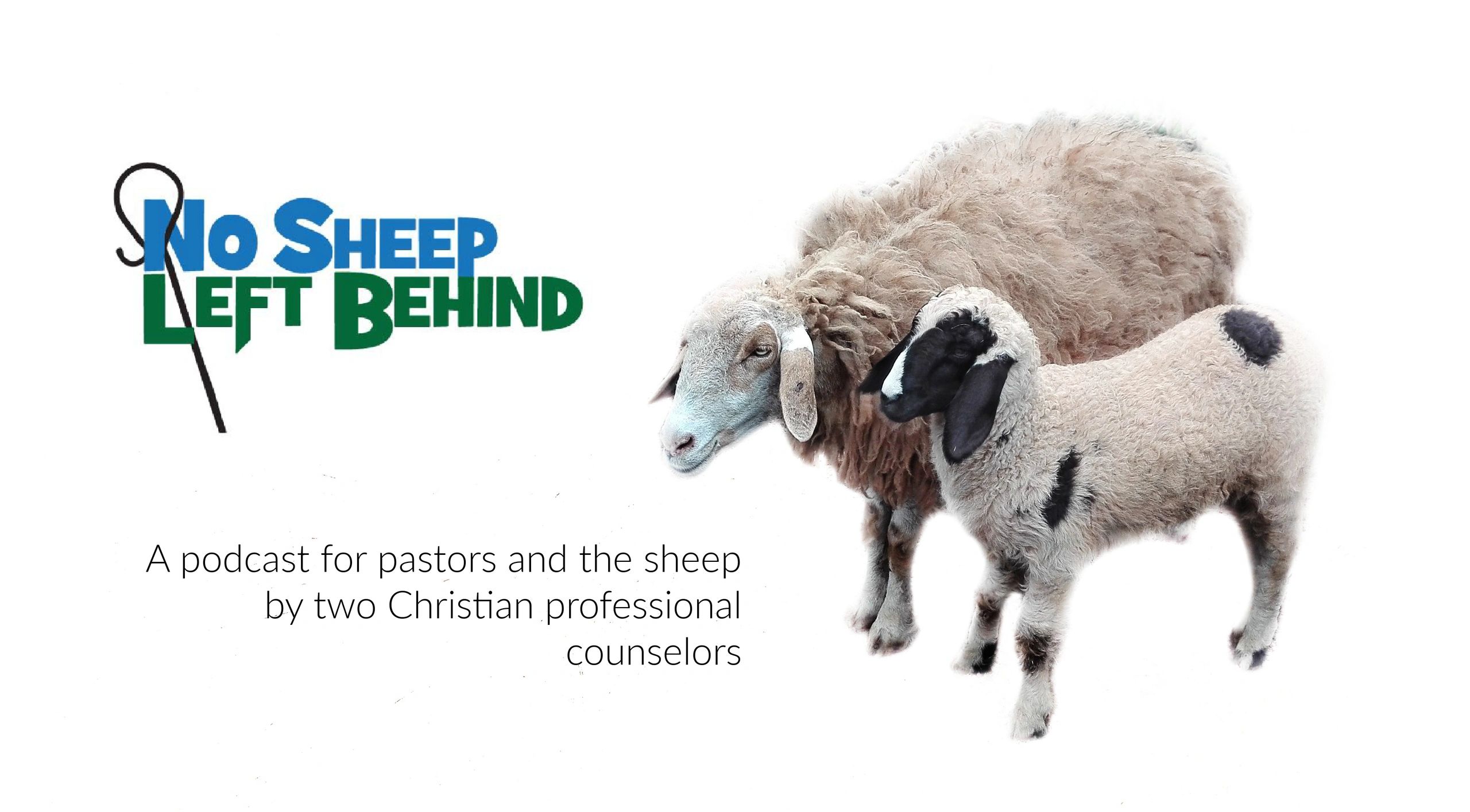No Sheep Left Behind