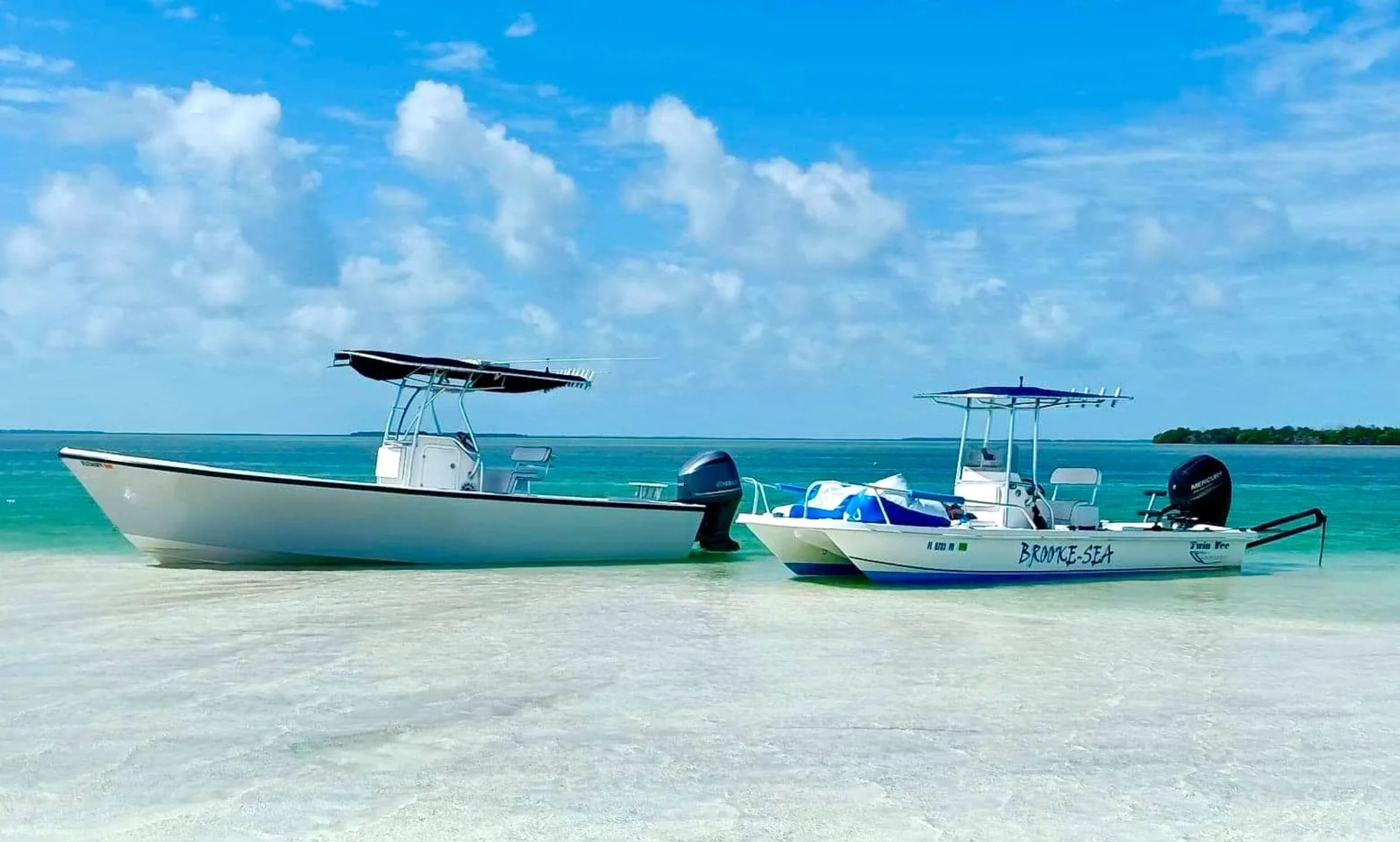 Livin' the Dream Charters