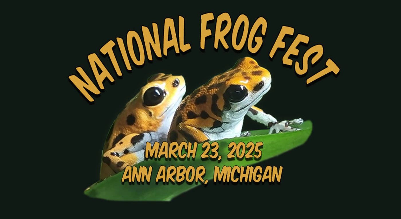 National Frog Fest 2025