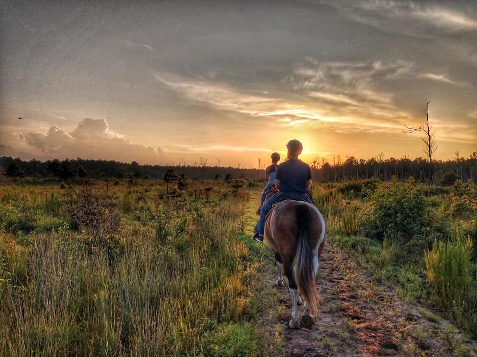Trail Rides and Lessons