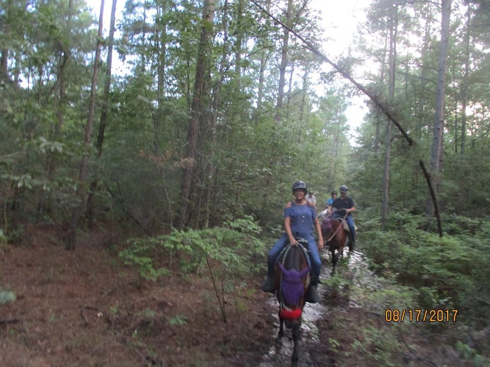 Things to Do - Hoof Prints Trail Riding Center