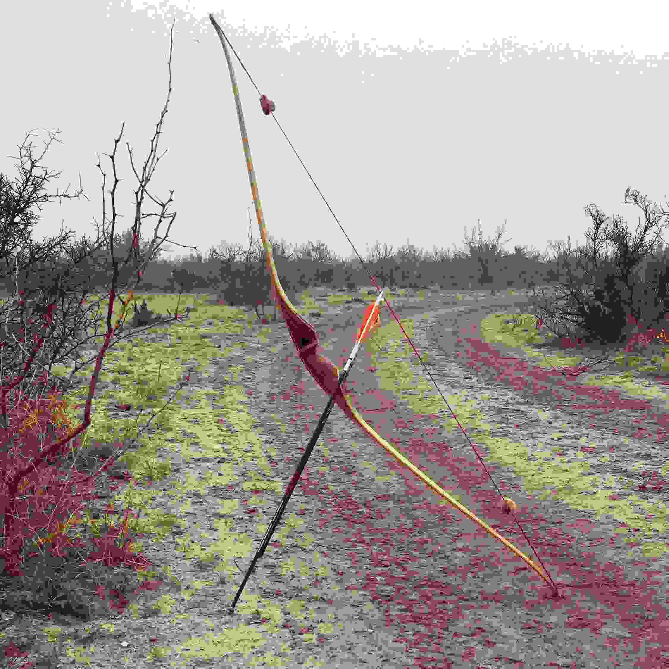 Bow Models | Bivouac Bow Co.