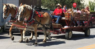 rowlesburg.info - Tourism, Things to Do, Festivals, Sightseeing