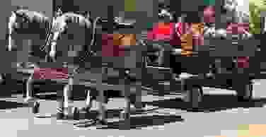 rowlesburg.info - Tourism, Things to Do, Festivals, Sightseeing