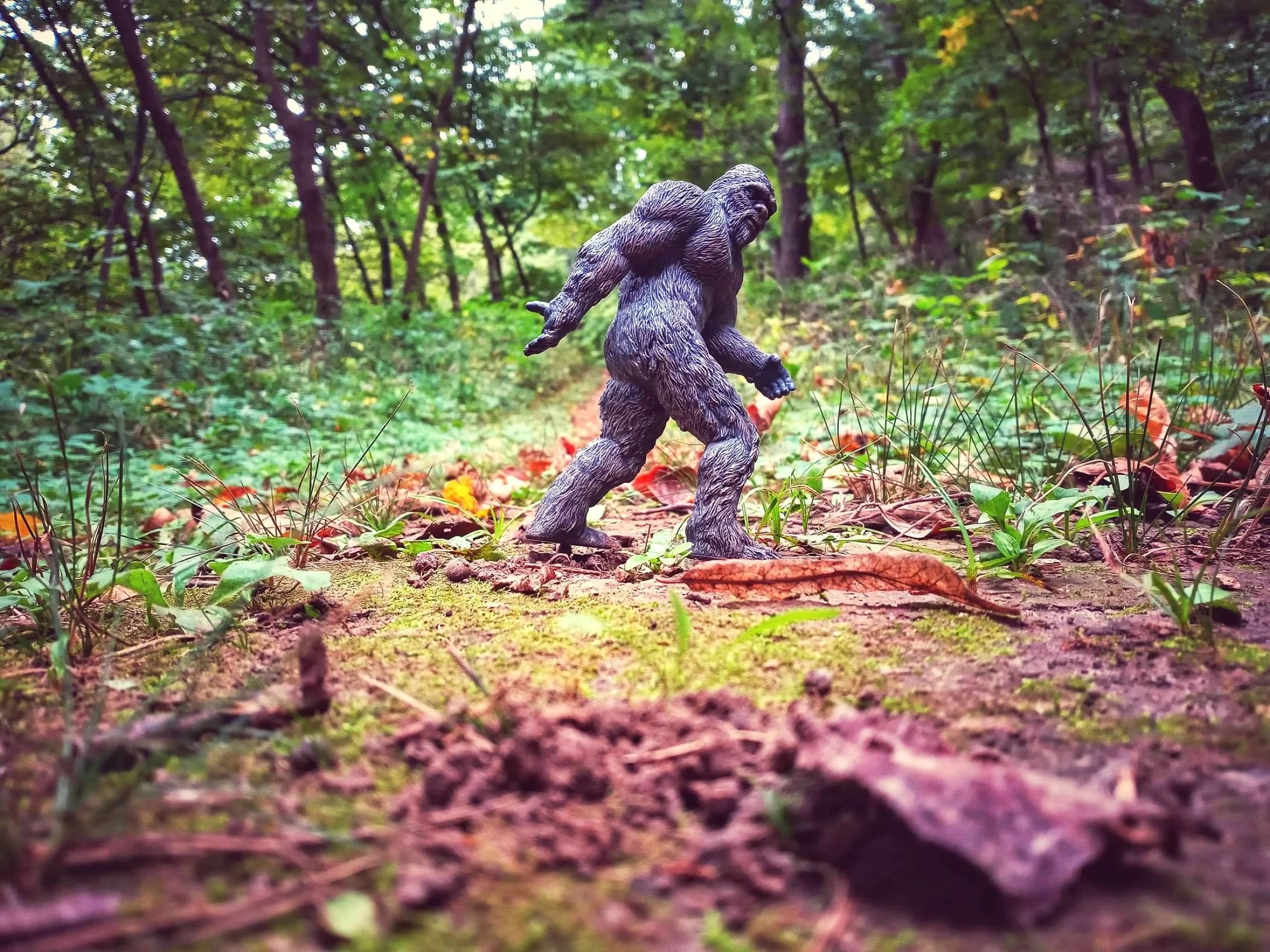 Midwest Paranormal History Tours