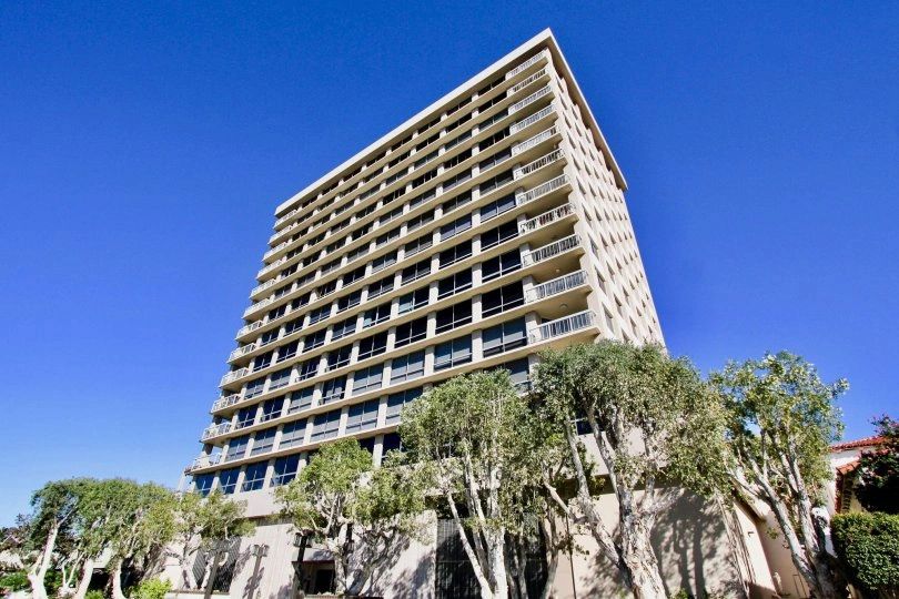 Moonstone Management and Consulting