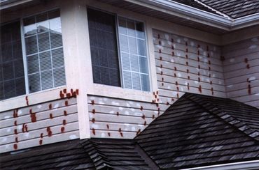 MPDA Specification Services