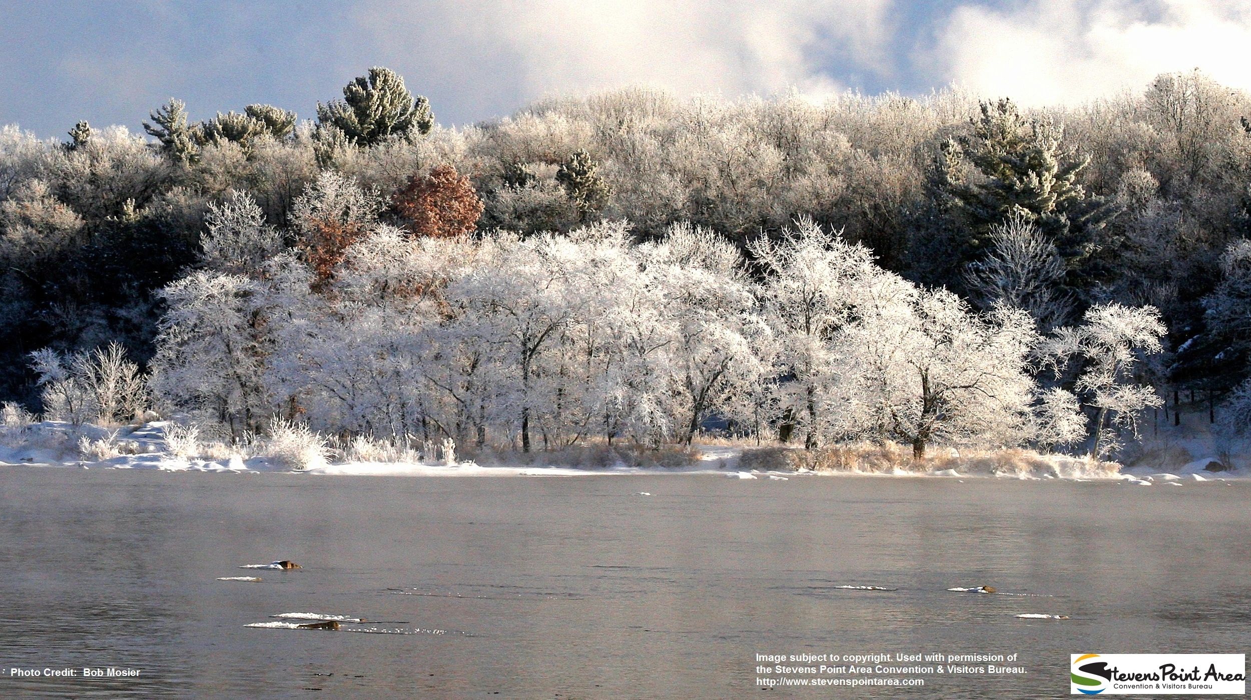 Daddio's Auto Repair in Stevens Point - Whiting, Wisconsin