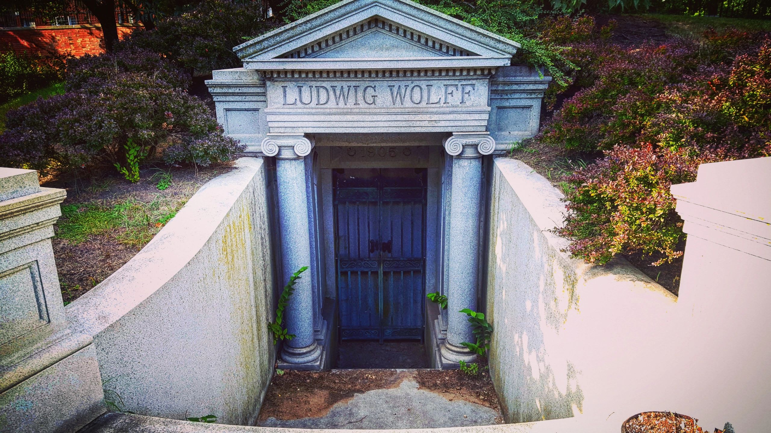 Mr. Ludwig Wolff (d. 1911)